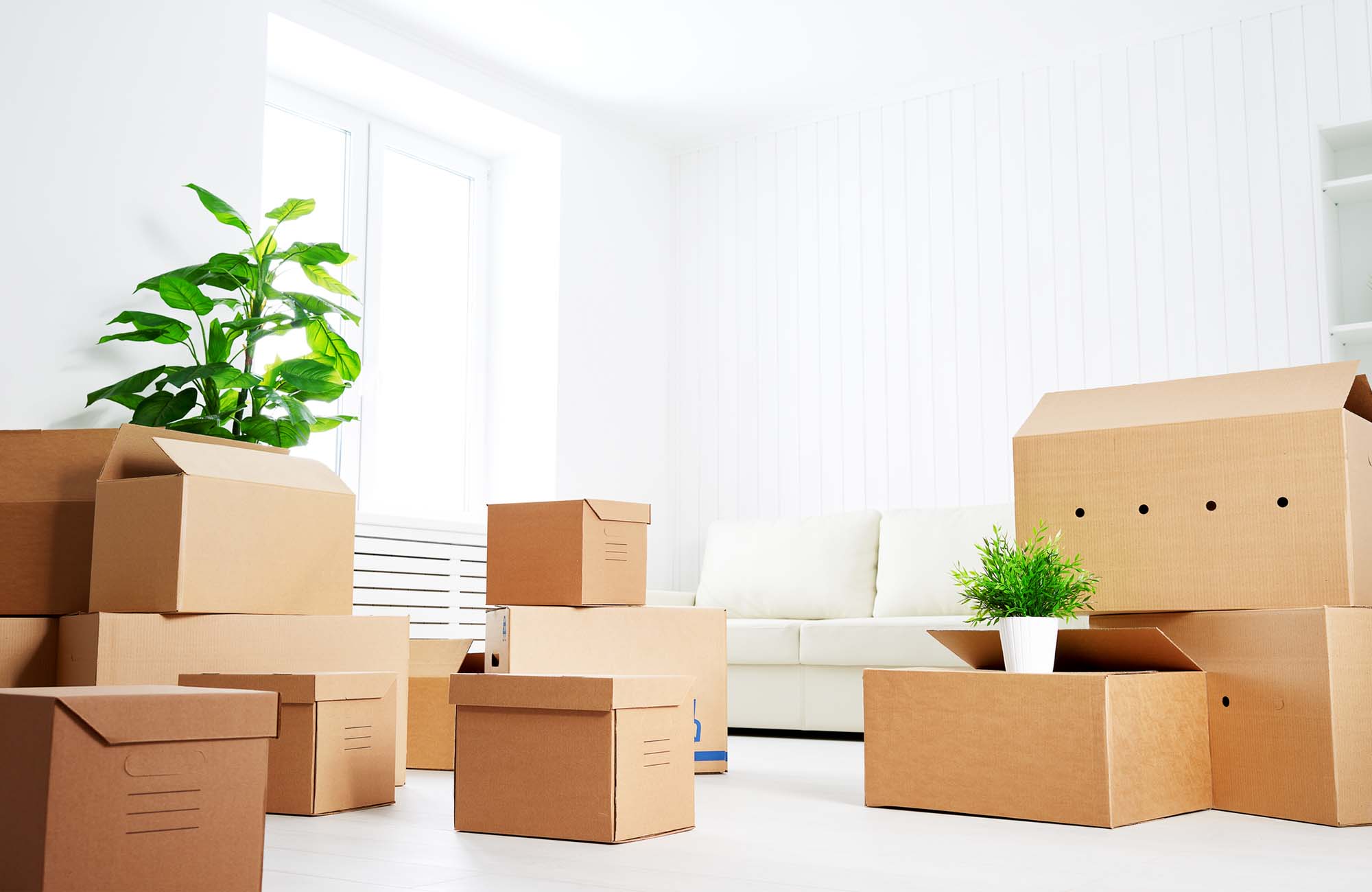 Man & Van service in Coventry |Coventry Removal Services